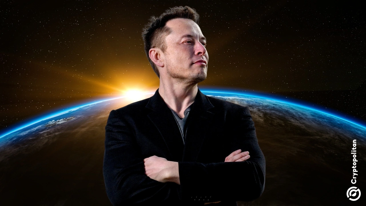 Democratic senator pushes Musk to block Starlink access to crime groups ...