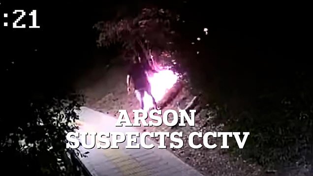 CCTV shows suspected arsonists starting fire in Bulgaria woodland