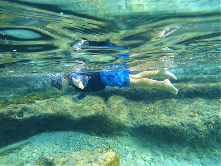 21 awesome things to do in Cozumel with kids