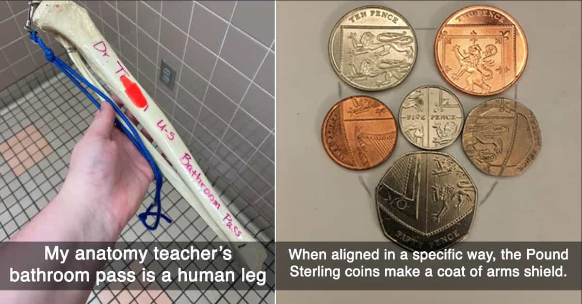 31 Photos We Thought Were Interesting