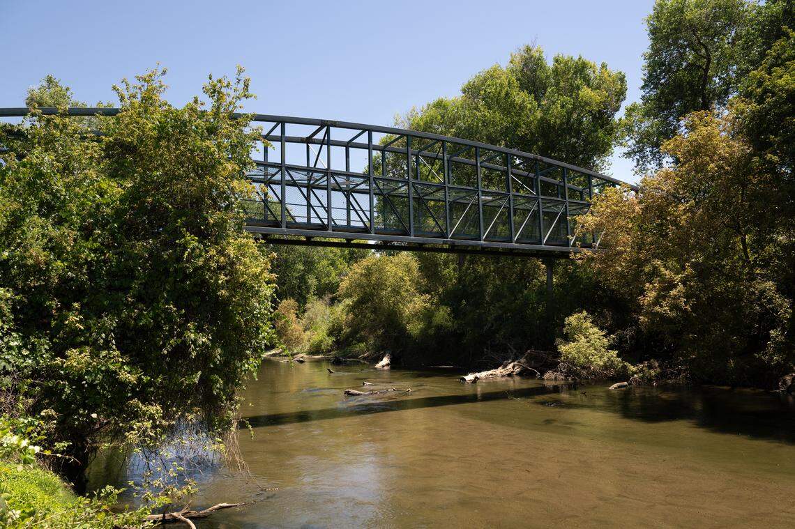 Fallen tree broke river trail bridge between Salida and Ripon in 2023 ...