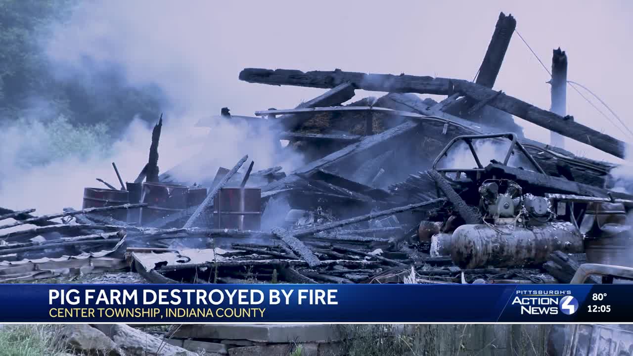 Pig farm destroyed: Fire breaks out at Indiana County farm