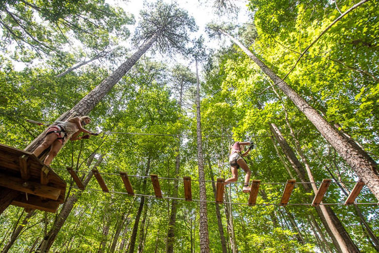 Go Ape Treetop Adventure & Treetop Journey: Fun For All The Family!