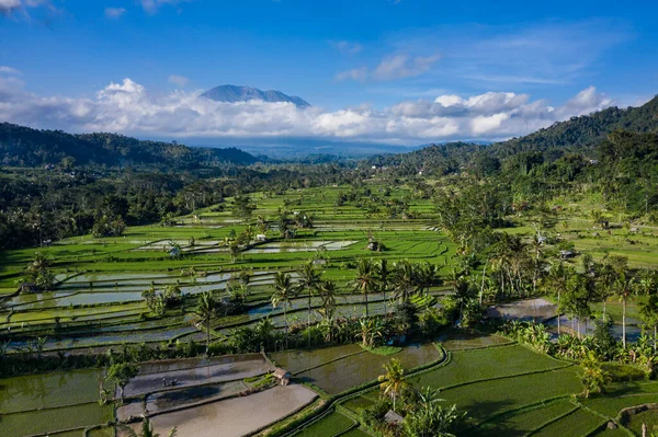 18 Cool and Unique Things to Do in Bali