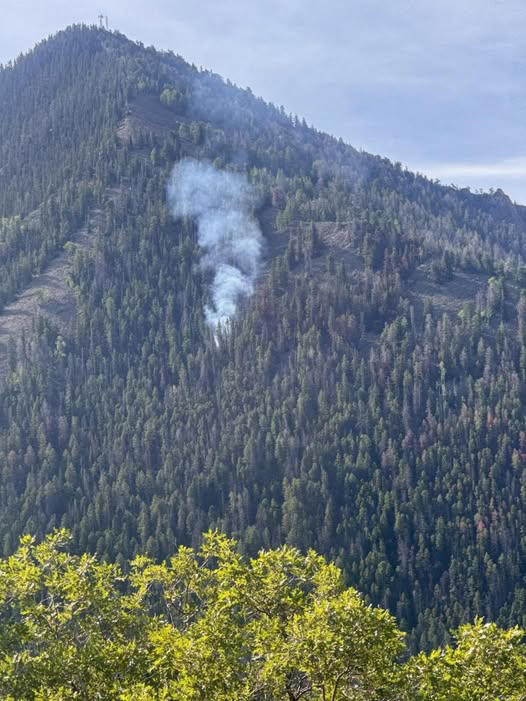 Gray Head Fire continues to burn as smoke can be seen throughout parts ...