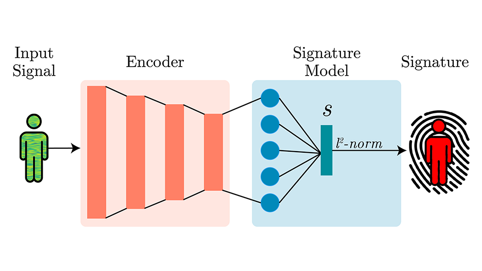 Wi-Fi signals could be used to uniquely identify individuals — WhoFi ...