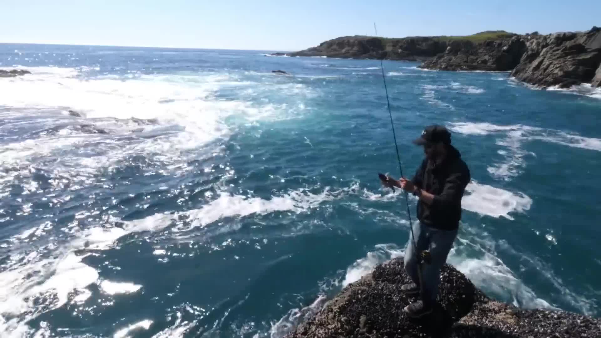 Shore Fishing the Open Ocean: Catch and Cook Adventure