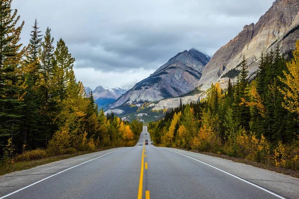 20 Scenic Drives to Take in British Columbia