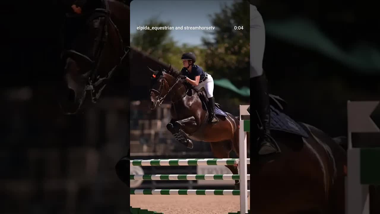 streamhorse: tryon show jumping competition: bella & athena's resilience