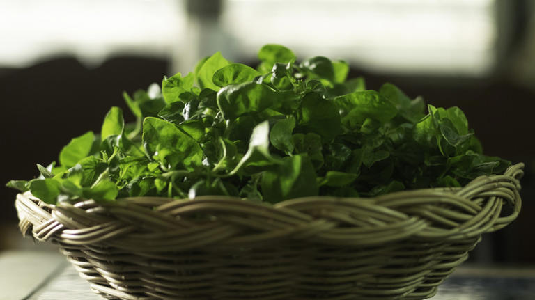 How To Fix The Bitter Taste In Watercress