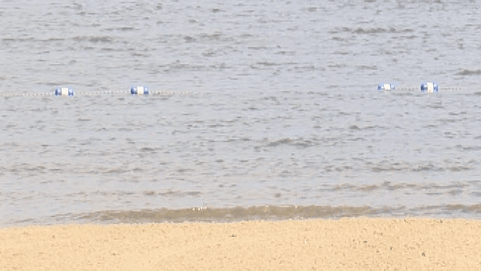 Brown's Beach closed due to potential harmful algae blooms