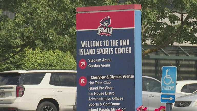 Woman accused of assaulting 16-year-old referee at youth ice hockey ...