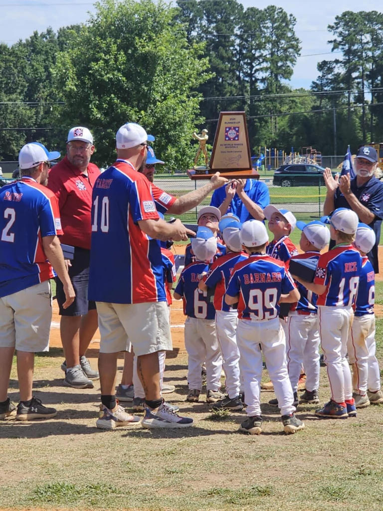Amelia baseball teams make it to championship game in Diamond Youth ...