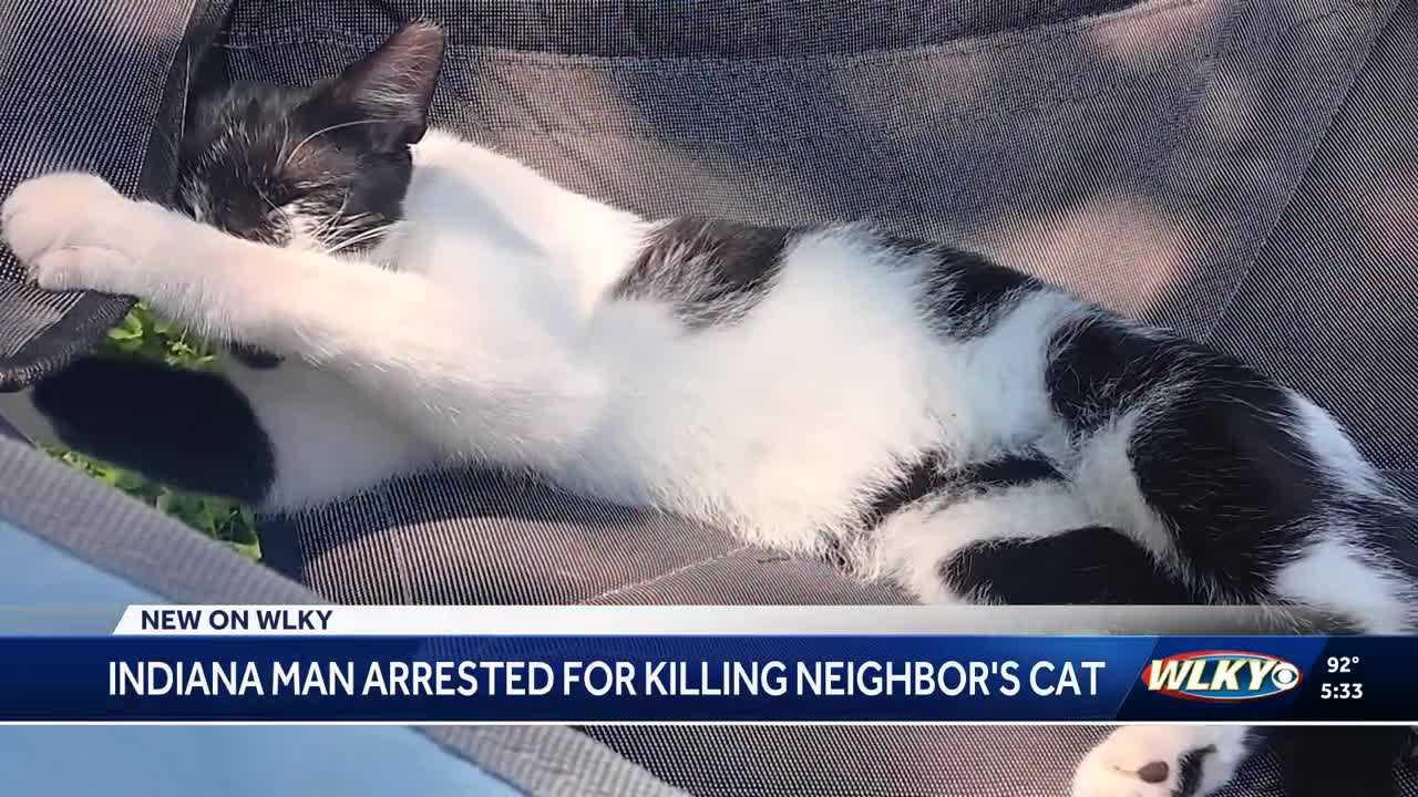 Indiana man accused of killing neighbor's cat claims it was self-defense