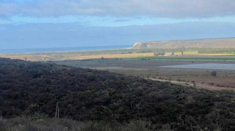 Prevén impacto económico, social y turístico con el proyecto del puerto ...