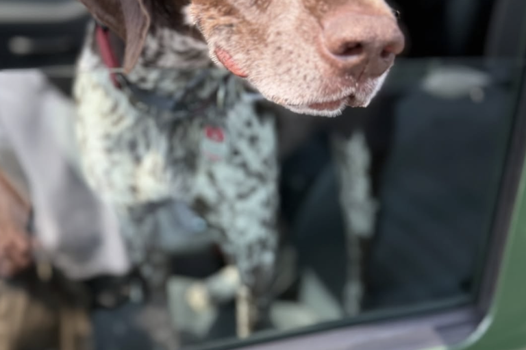 David Muir gives rare glimpse into personal life with adorable photo