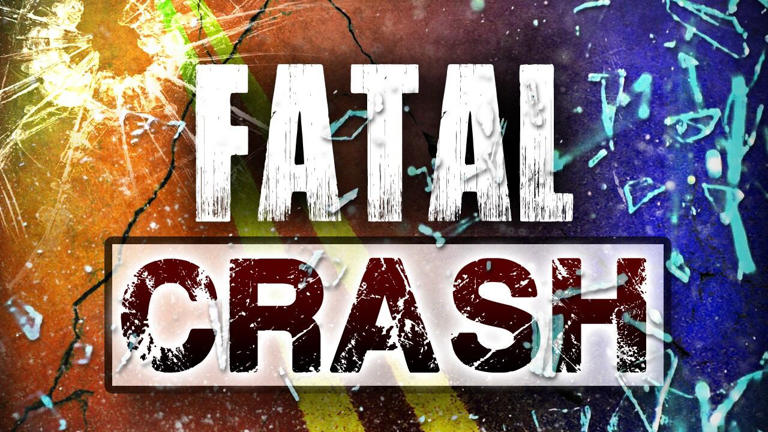 Louisiana driver arrested after passenger killed in crash in Concordia ...