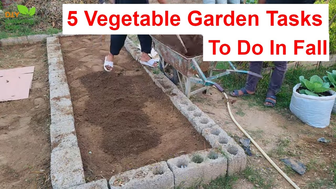 Vegetable Garden Tasks That Set You Up for a Happier Garden