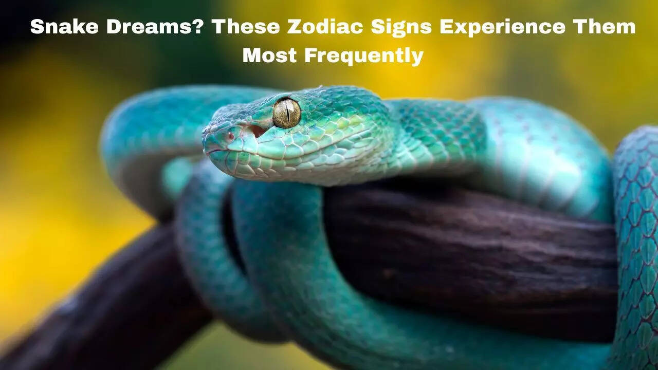Zodiac Signs That Often Dream of Snakes – Know What It Means
