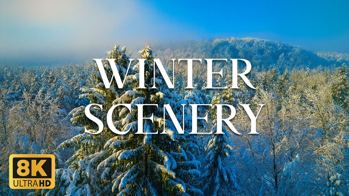 Frozen Landscapes and Winter Scenery (8K)