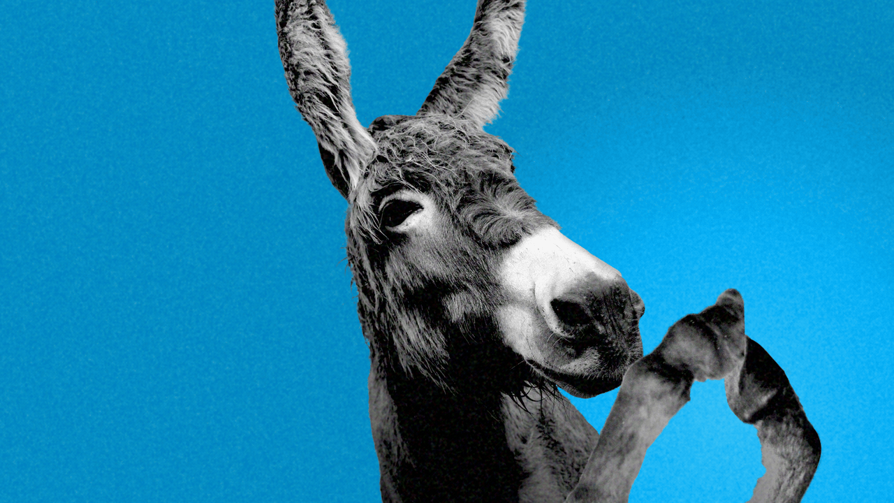 Indiana Democrats look for candidates to fill 2026 ballot