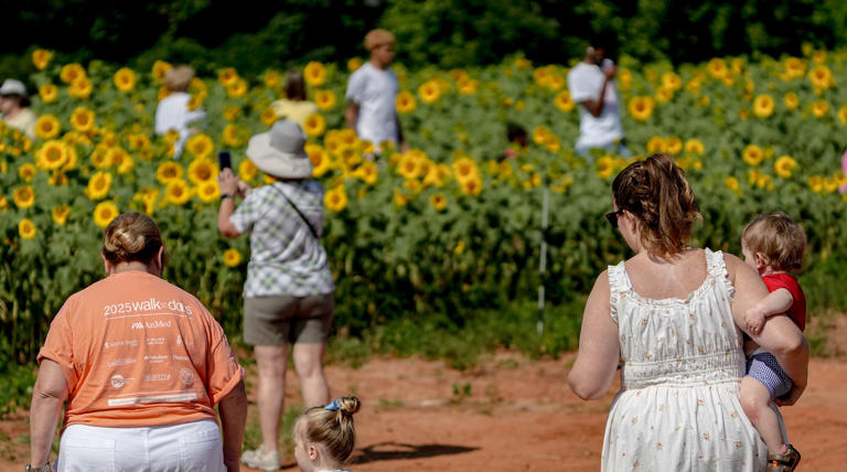 Over 10 years, Sol Flowers donated over $100,000 to Upstate charities ...