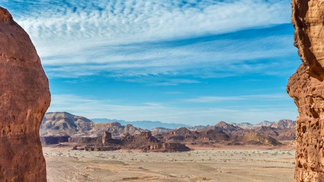 Experts thrilled after trail cameras capture images of elusive creature ...