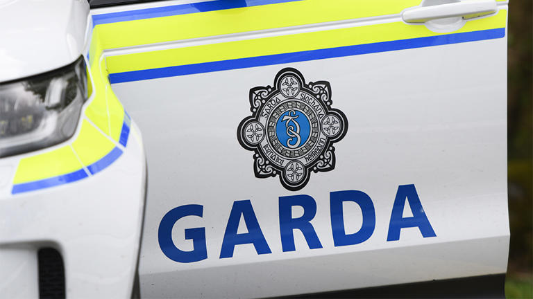 One in three gardai not trained to drive at high speed — or use lights ...