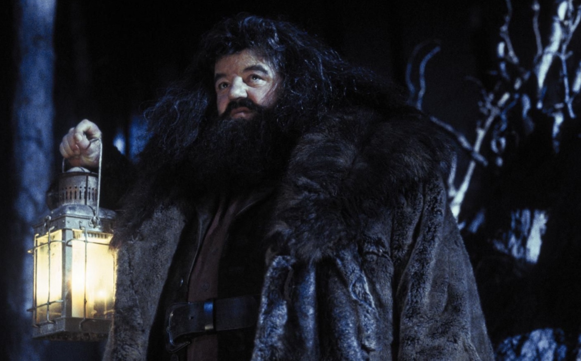 Life lessons we learned from Hagrid in 'Harry Potter'