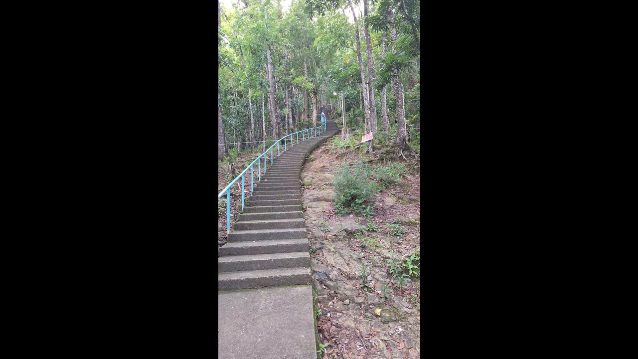 Kids whizz down handrail down 2,000 steps in this park