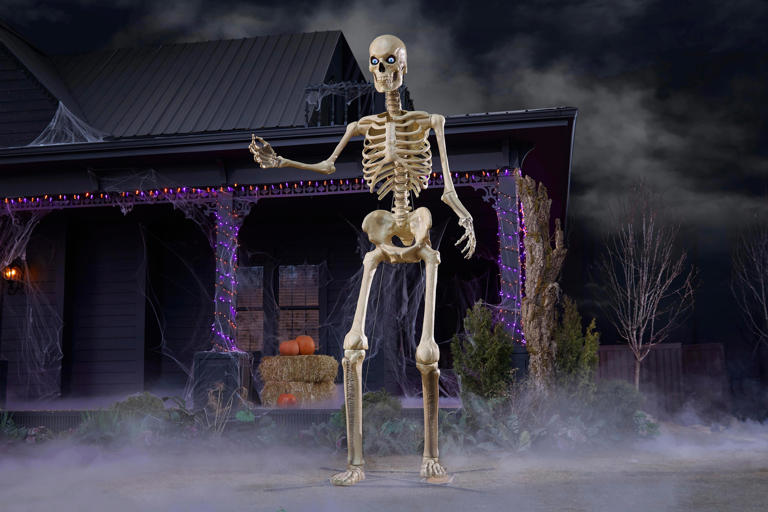 Home Depot's famous giant Skelly is back with pet dog and cat: See 2025 ...