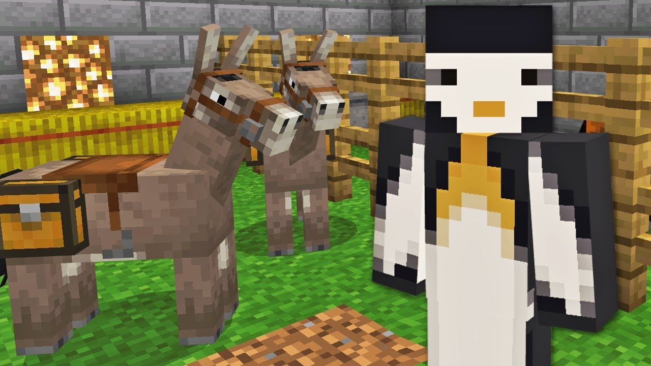 Donkey Duo Adventure Ends With an Epic Surprise