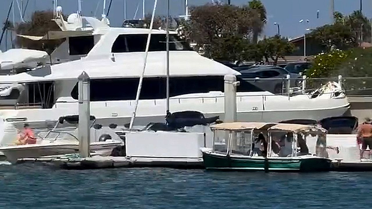 Out-of-control yacht smashes into seawall in California