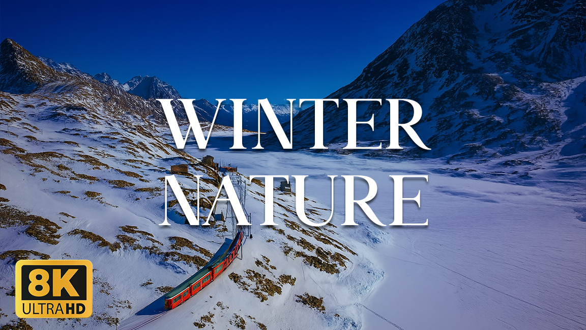 Stunning Winter Nature Scenes (8K)