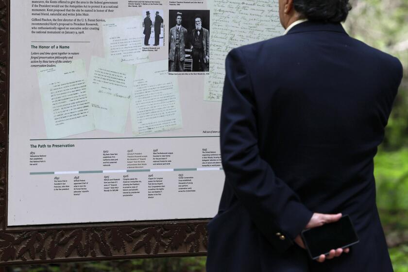 Letters to the Editor: A poem read at Biden's inauguration rings truer ...