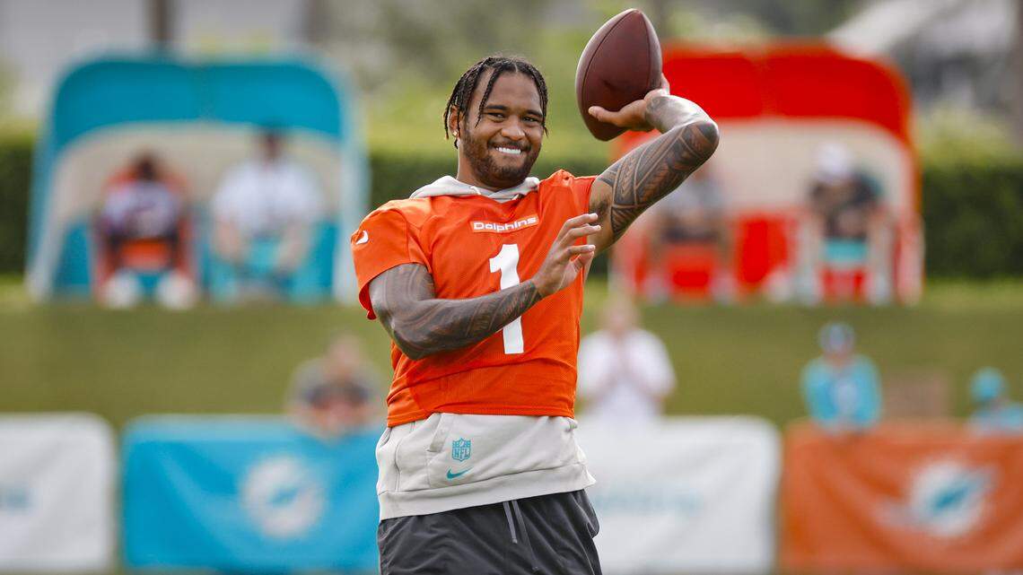 Live updates: What's happening at Dolphins training camp practice on ...