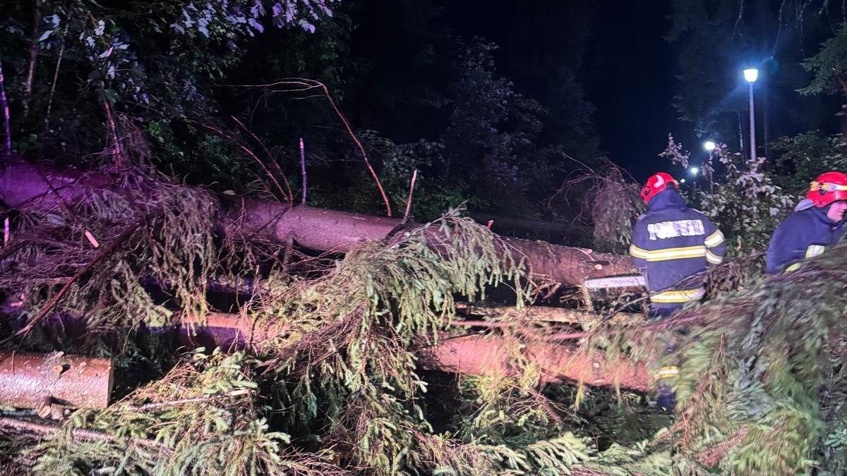 Ultra runner killed when sudden "extremely violent" storm breaks out ...