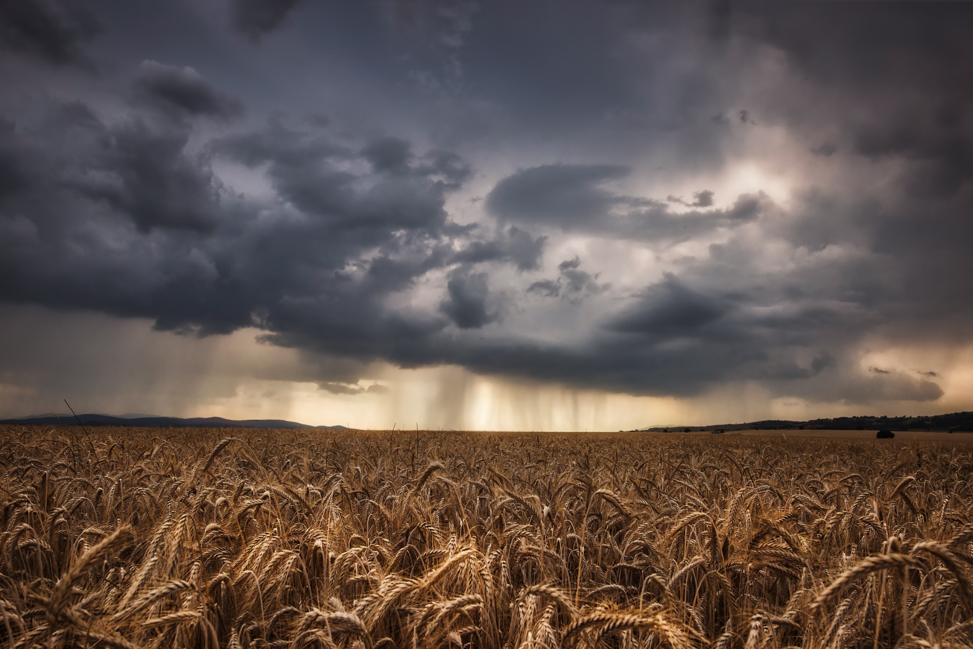 How do meteorologists predict the weather?