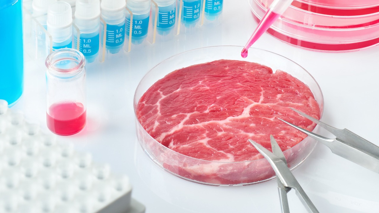 Lab-grown meat cleared for wide release