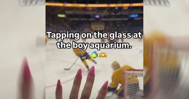 32 Memes in a Fishbowl