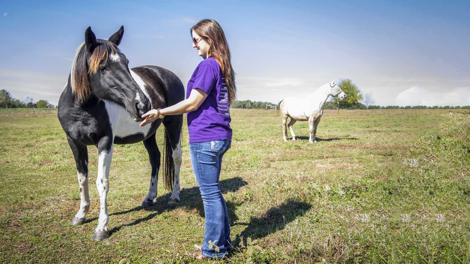 Two horses die as South Carolina reports first EEE cases of 2025