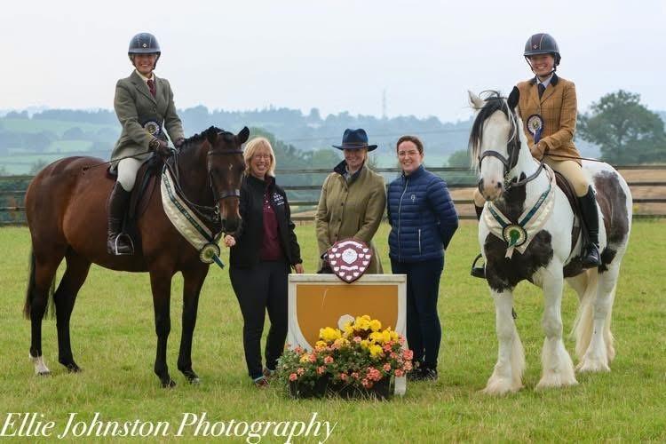 Horse Week: Moo-ving scenes in the veteran ring at Danescroft Pre ...