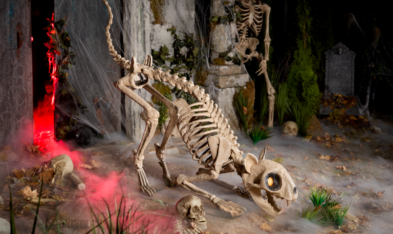 Home Depot's famous giant Skelly is back with pet dog and cat: See 2025 ...