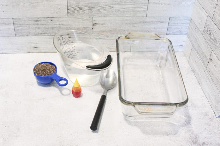 Fun Chia Seed Bug and Insect Sensory Bin for Toddlers