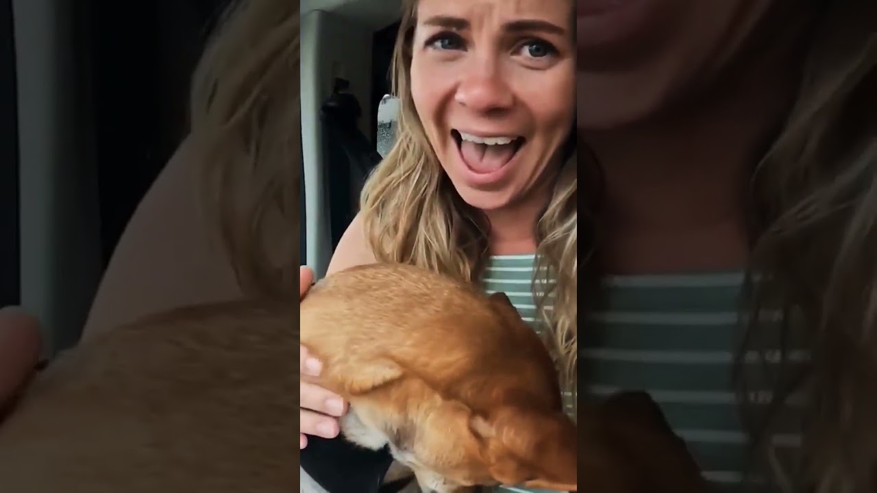 When Your Dog Sings Along to Adele