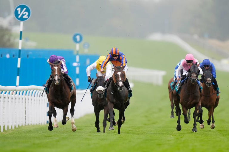 Royal Ascot 2026 day three: Scandinavia to strike gold in feature