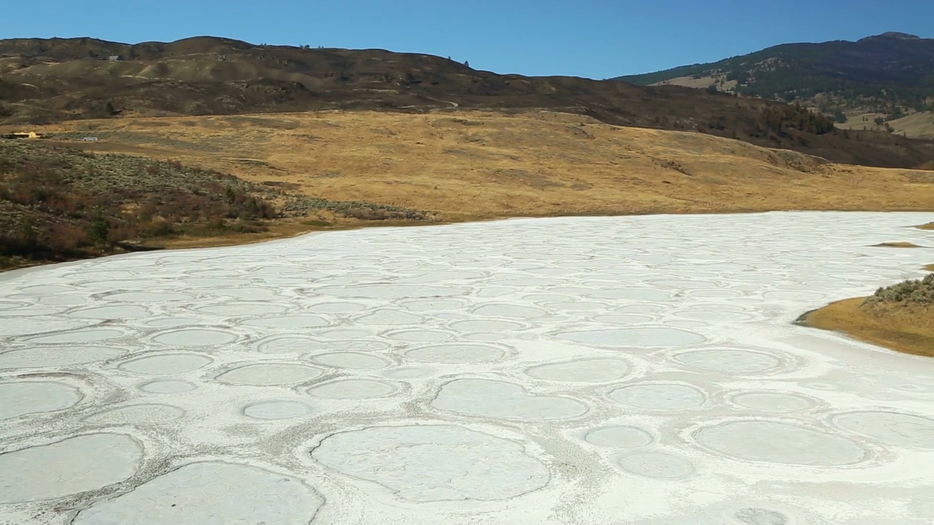 Drone Footage of Spotted Lake: Iconic Sacred Site in British Columbia