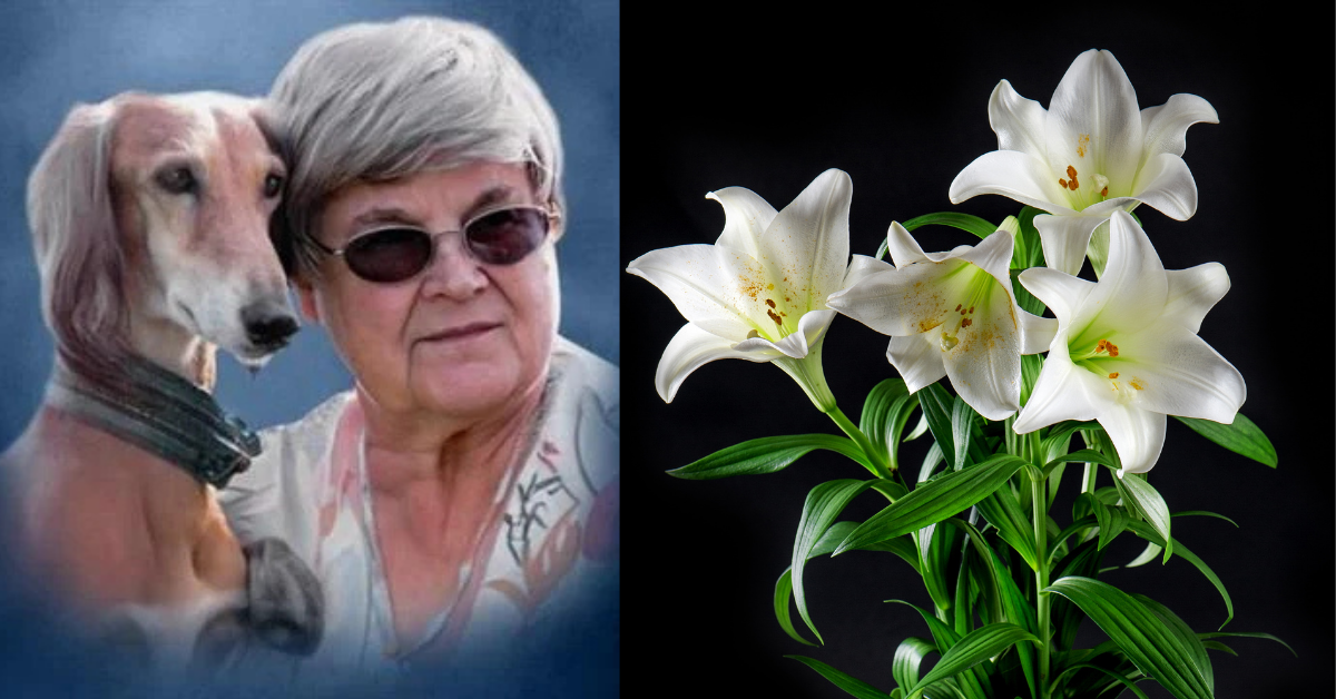 Patricia Darling, 88, of Racine – Obituary