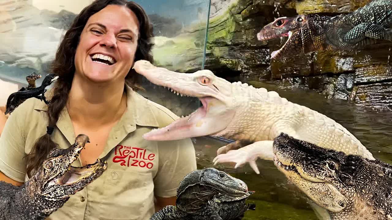 Feeding my wildest reptiles