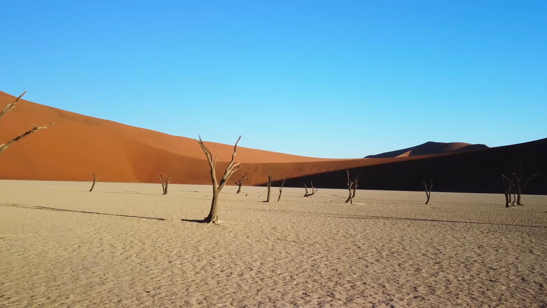 Namibia’s Deadvlei Unveiled in Stunning Drone Footage